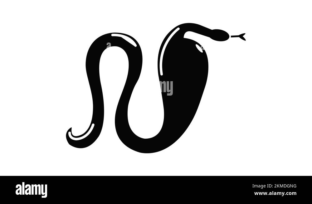 Striking cobra Stock Videos & Footage - HD and 4K Video Clips - Alamy