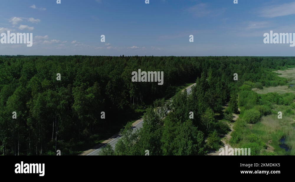 Birch tree lane Stock Videos & Footage - HD and 4K Video Clips - Alamy