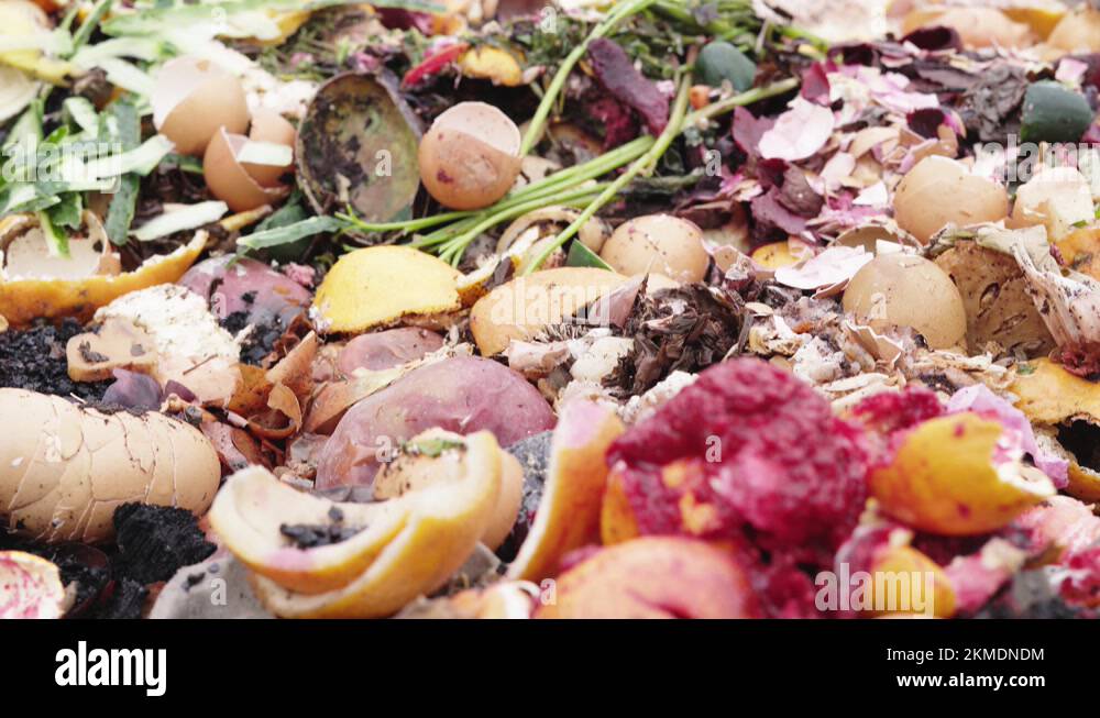 Compost decomposition Stock Videos & Footage - HD and 4K Video Clips - Alamy