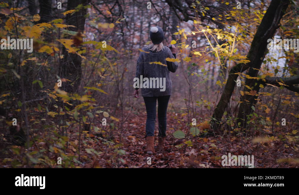 Back view of A woman with a flashlight is walking through a dark forest ...