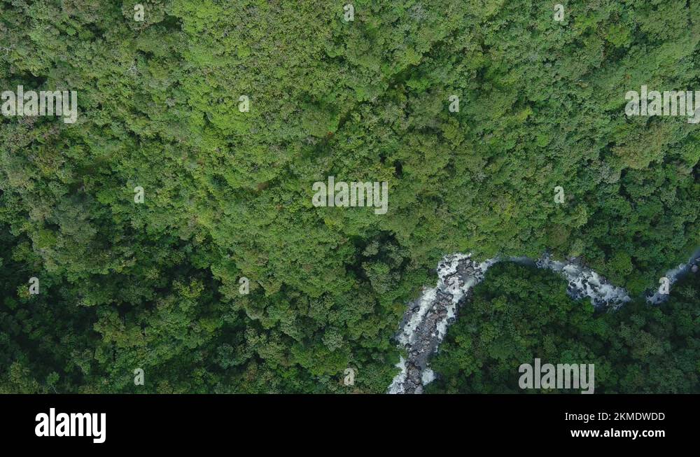 Inca trail road to vilcabamba the lost city of the inca culture, road ...