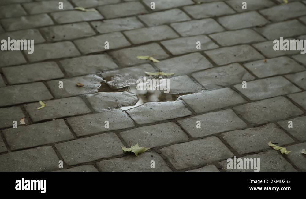 Rare drops of rain drip into small puddle among the paving slabs Stock ...
