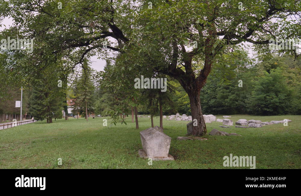 An ancient grave under an old tree in the graveyard of Mramorje ...
