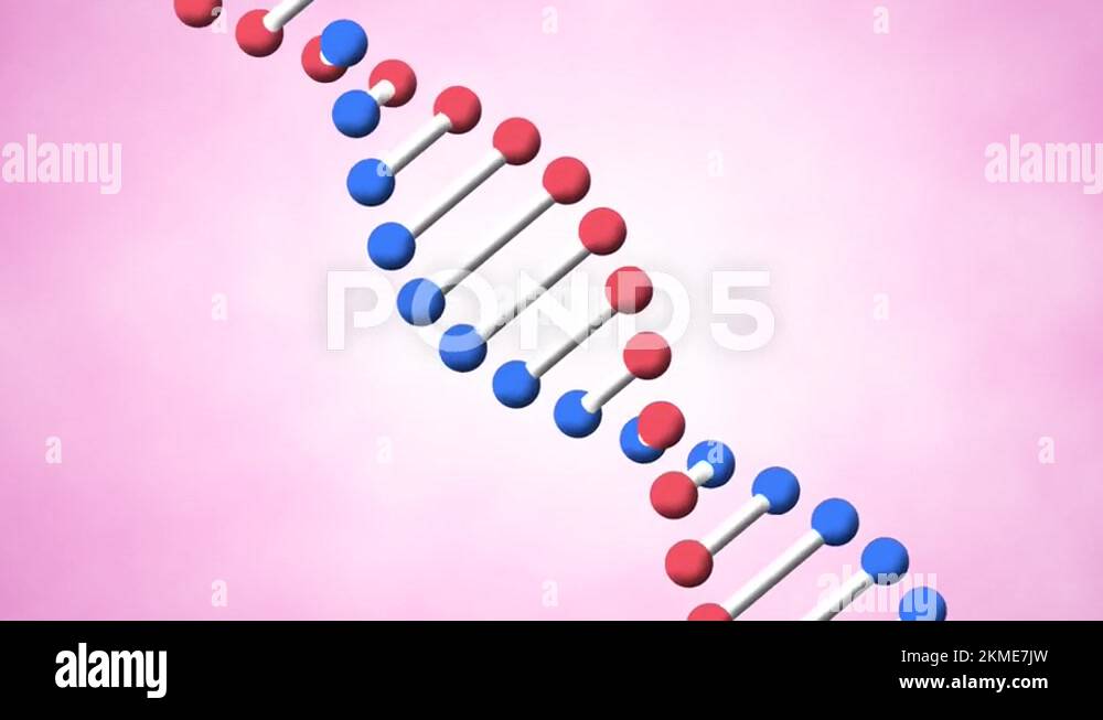 Animation 3d pink dna strand Stock Videos & Footage - HD and 4K Video ...