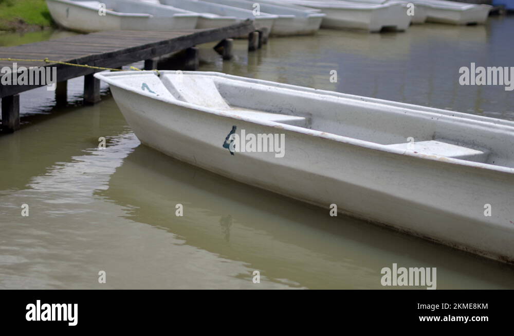 White row boat Stock Videos & Footage - HD and 4K Video Clips - Alamy