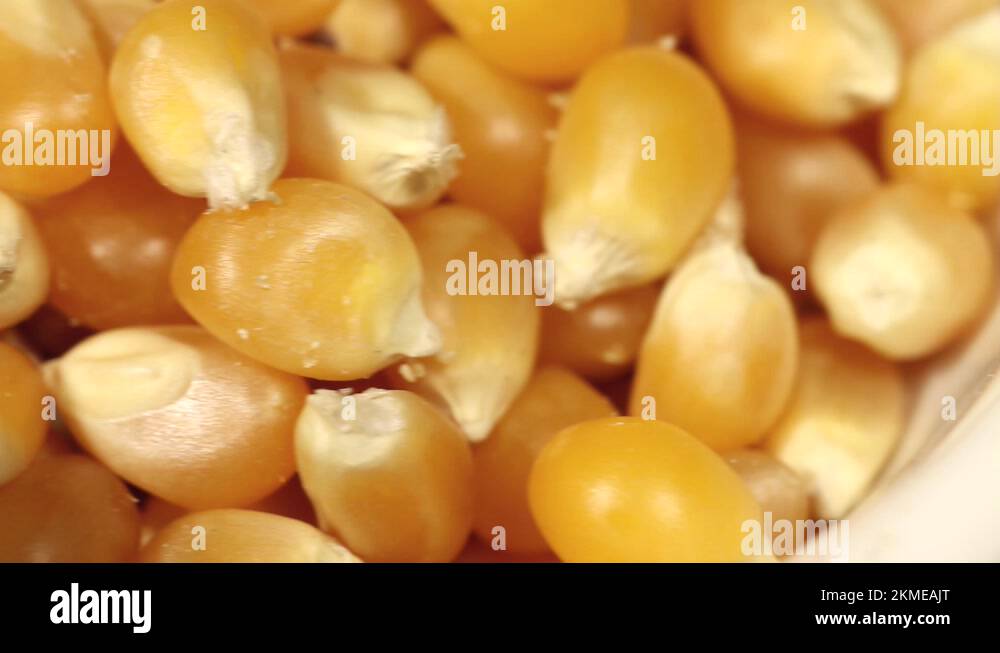 White maize kernels Stock Videos & Footage - HD and 4K Video Clips - Alamy