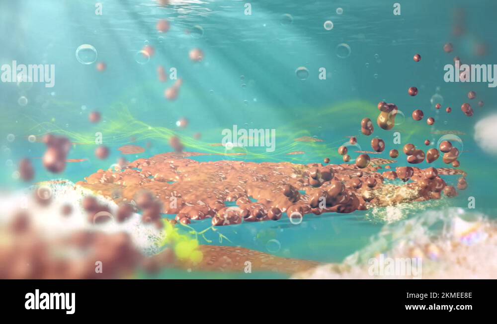 Bacterial in water Stock Videos & Footage - HD and 4K Video Clips - Alamy