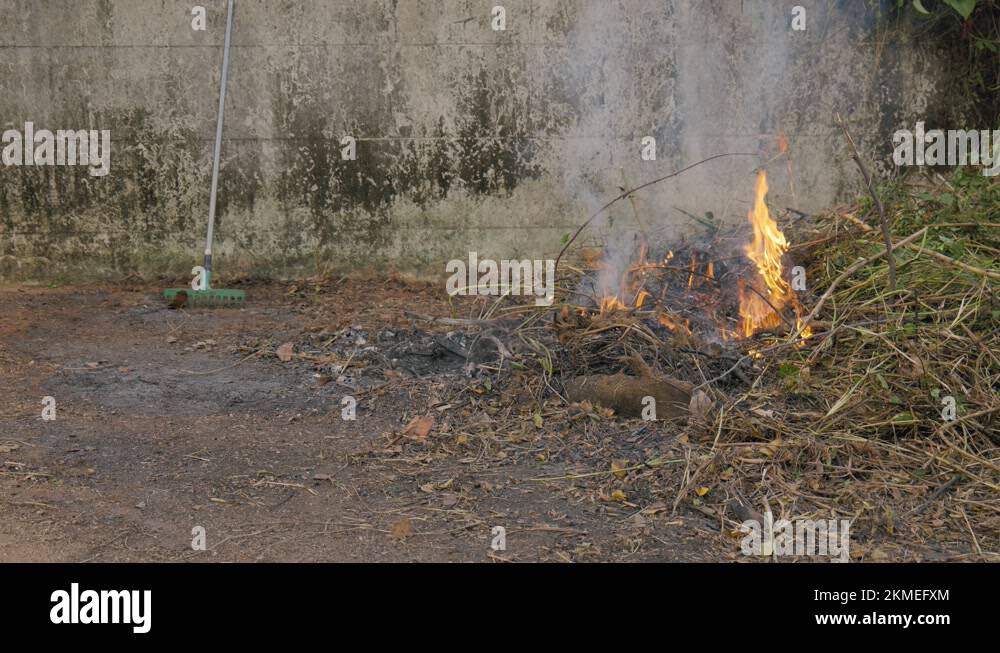 Weed management Stock Videos & Footage - HD and 4K Video Clips - Alamy