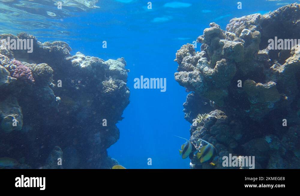 Sailing through a rift in a coral reef in morning sunrays. Sun rays in ...