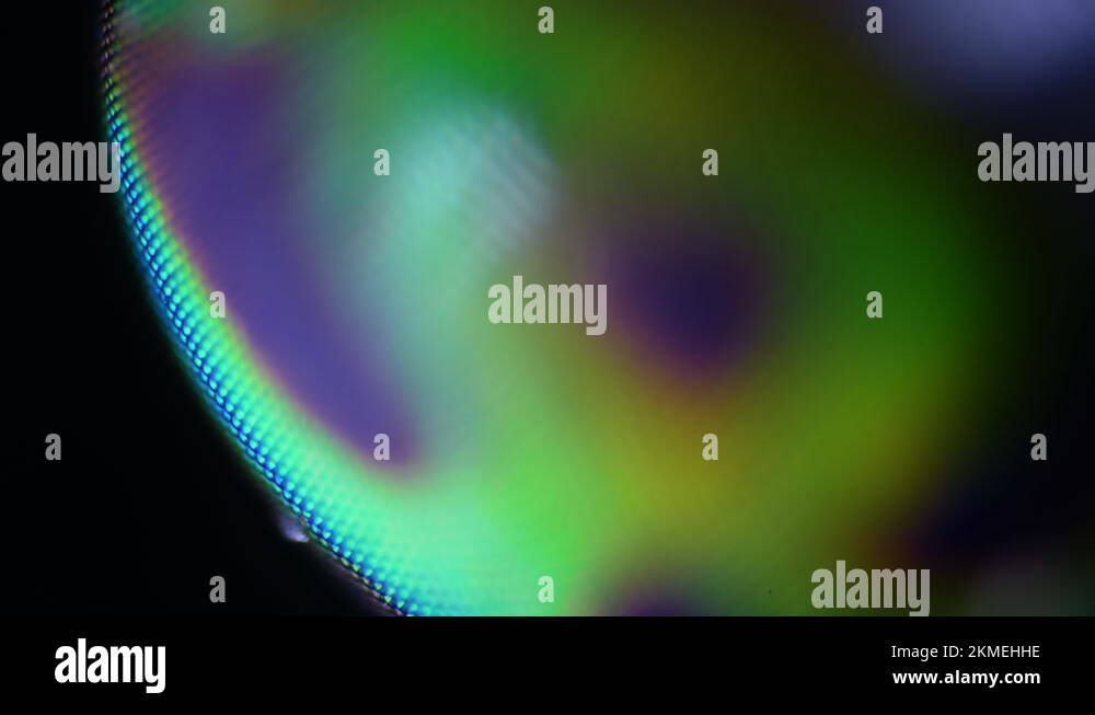 Insect compound eye structure Stock Videos & Footage - HD and 4K Video ...