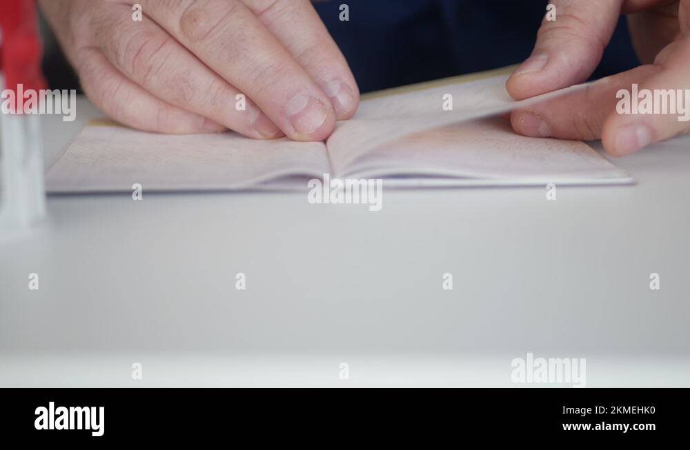 Employee Working at Border Customs Checking Travel Documents and ...