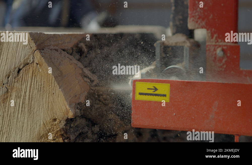 Slice of a tree trunk Stock Videos & Footage - HD and 4K Video Clips ...