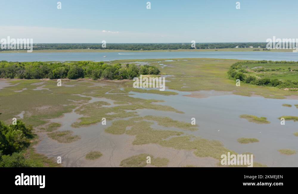 Low Country swamp, bog in black water region. Charleston South Carolina ...