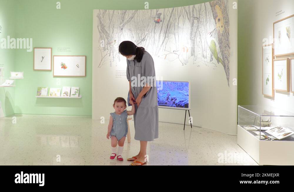 Learn stamp Stock Videos & Footage - HD and 4K Video Clips - Alamy