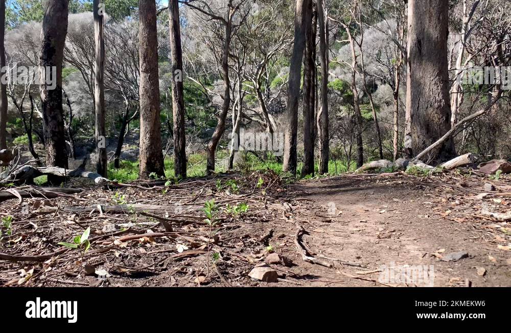 Path australia Stock Videos & Footage - HD and 4K Video Clips - Alamy