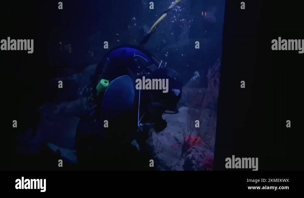 A scuba diver underwater at the Monterey Bay Aquarium. Kids waving ...