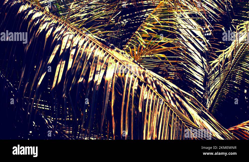 Warm color grading Stock Videos & Footage - HD and 4K Video Clips - Alamy