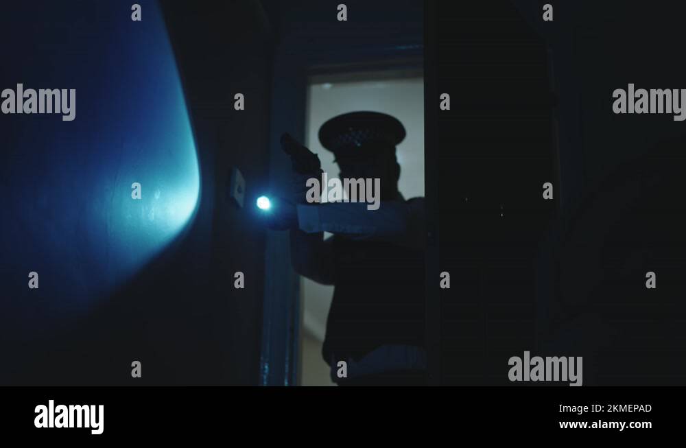 Armed Police Officer, Cop In Uniform Searches Room At Night 4K, Law ...