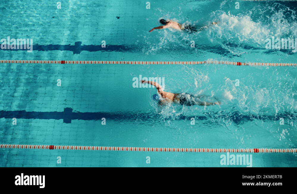 Two Swimmers Compete in Swimming Pool Stock Video Footage - Alamy