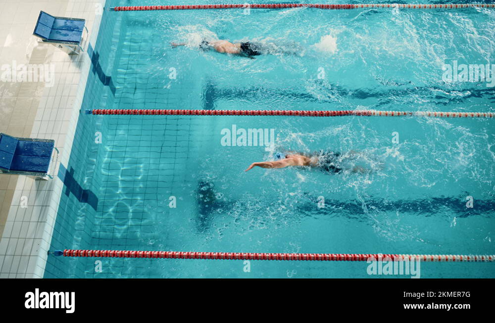 Two Swimmers Compete in Swimming Pool Stock Video Footage - Alamy
