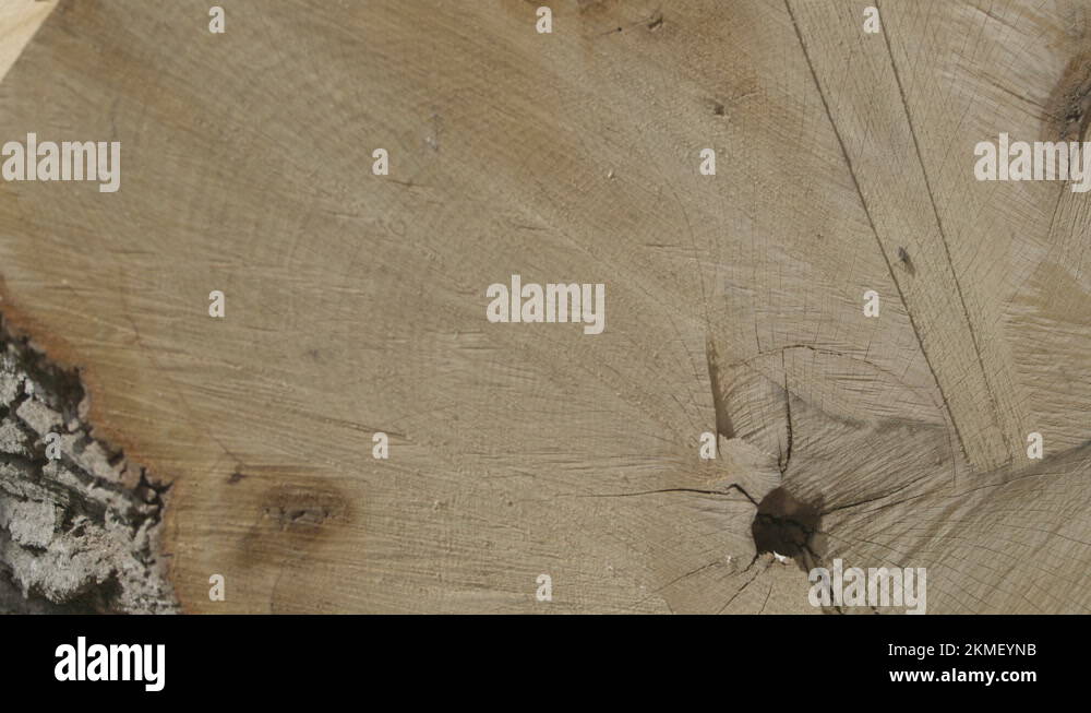 Cut with a cross Stock Videos & Footage - HD and 4K Video Clips - Alamy