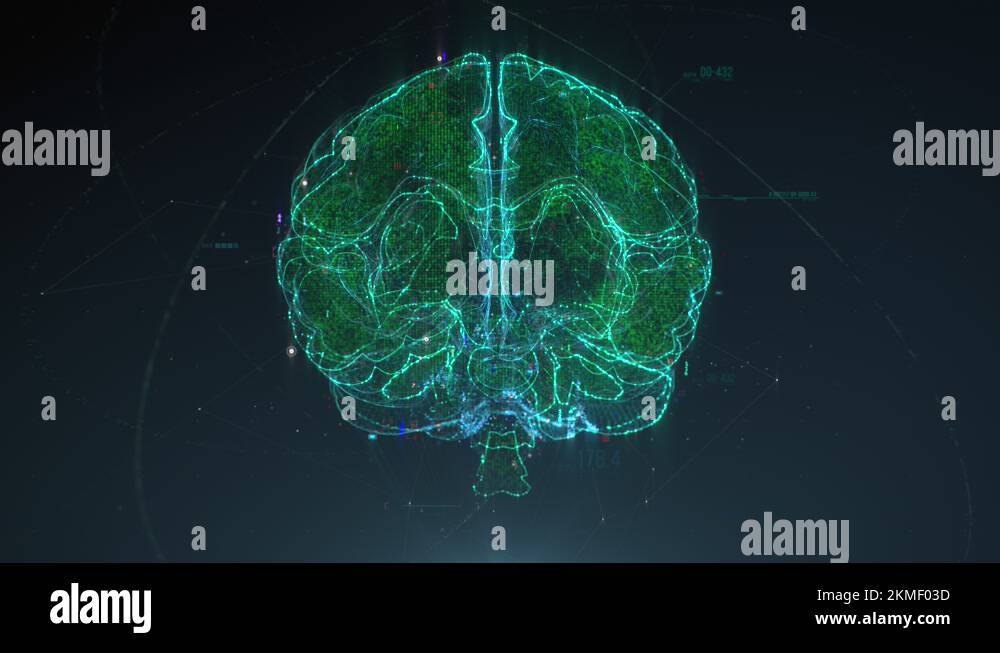 Digital model of the human brain. Brain scan technology concept Stock ...