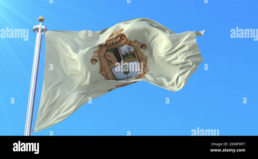 Manaus flag Stock Videos & Footage - HD and 4K Video Clips - Alamy