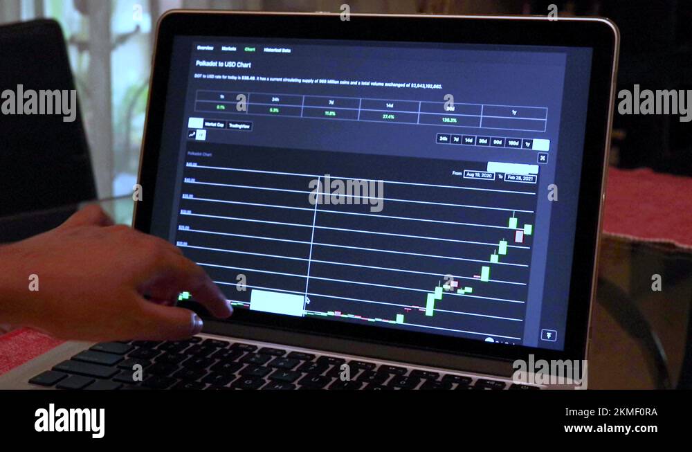 Women going through DOT Candle Stick Charts on a Laptop Stock Video ...