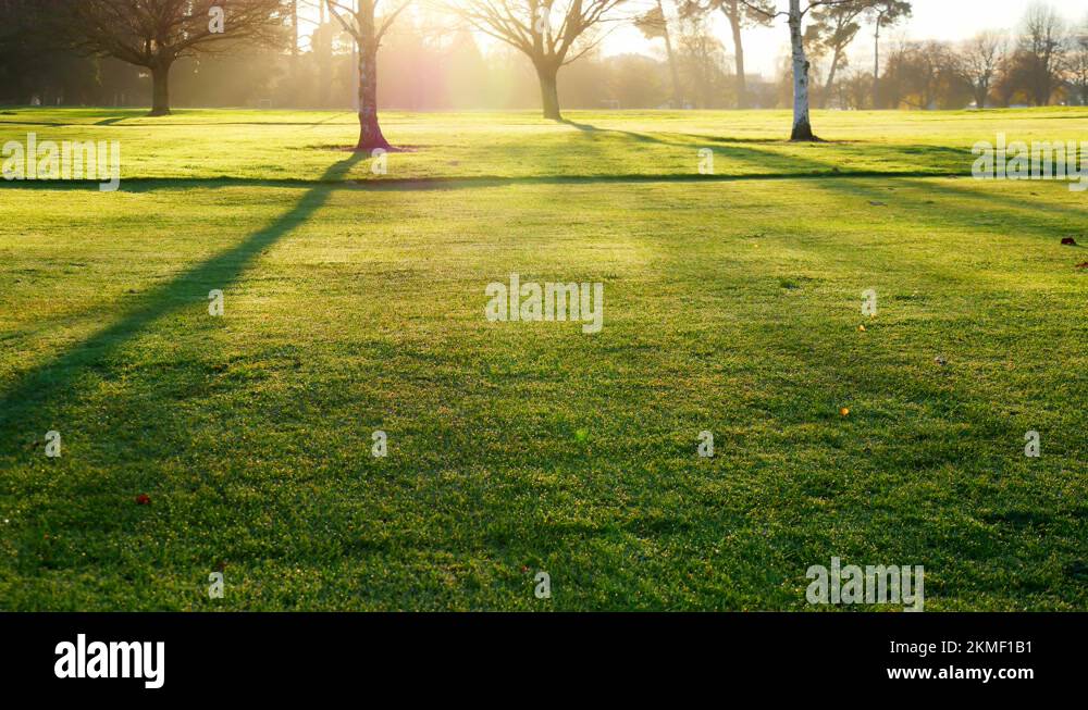 Shadow trees nature people Stock Videos & Footage - HD and 4K Video ...