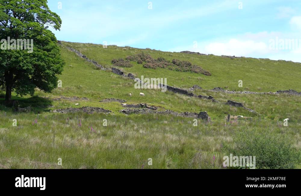 English hillside Stock Videos & Footage - HD and 4K Video Clips - Alamy