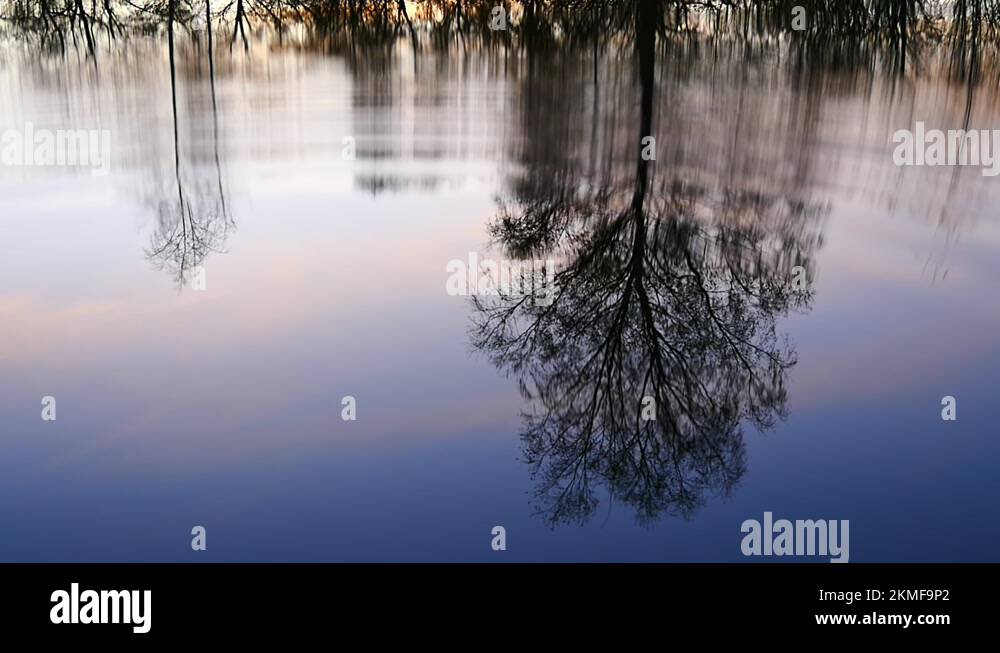 Fall tree reflections on lake Stock Videos & Footage - HD and 4K Video ...