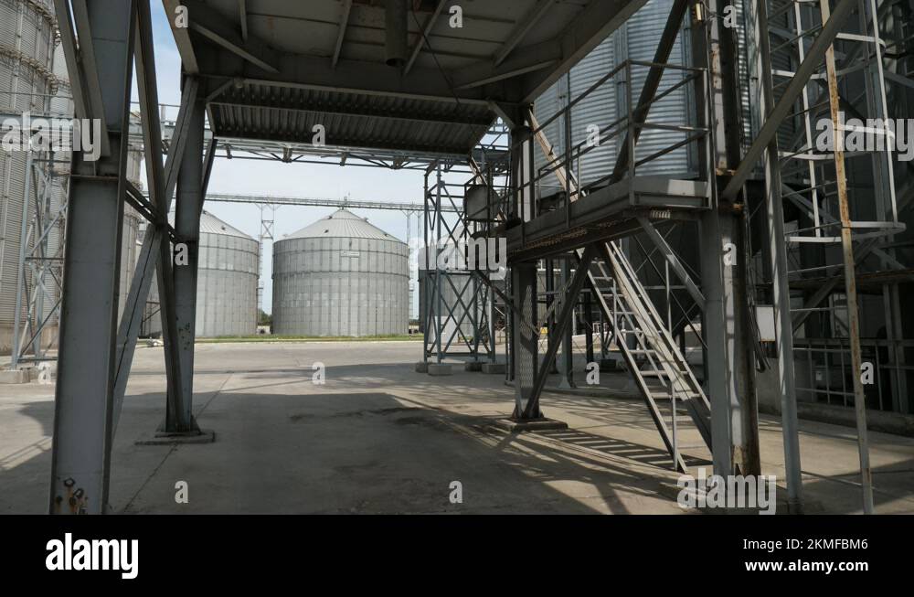 Plant overhang Stock Videos & Footage - HD and 4K Video Clips - Alamy