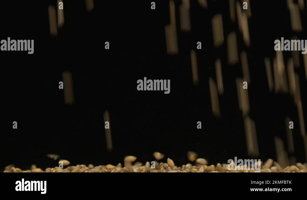 Pile of seeds cutout Stock Videos & Footage - HD and 4K Video Clips - Alamy