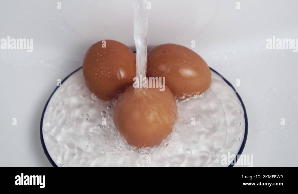 Disinfection and water washing of raw chicken eggs in the sink Stock ...