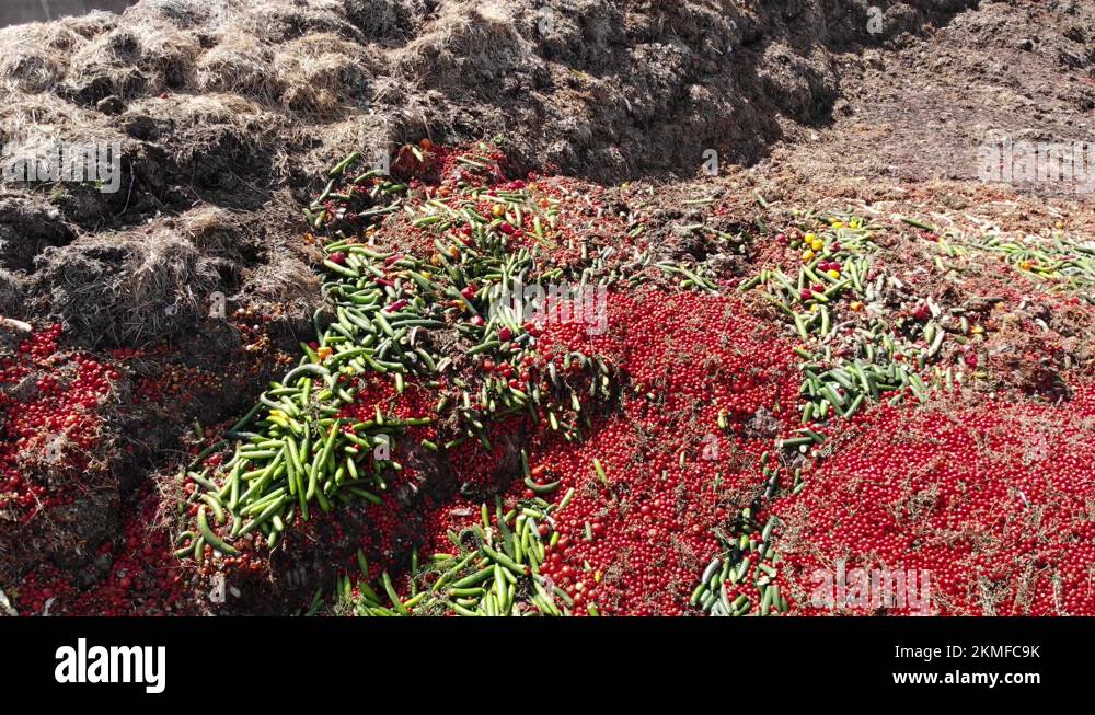 Slurry pit Stock Videos & Footage - HD and 4K Video Clips - Alamy
