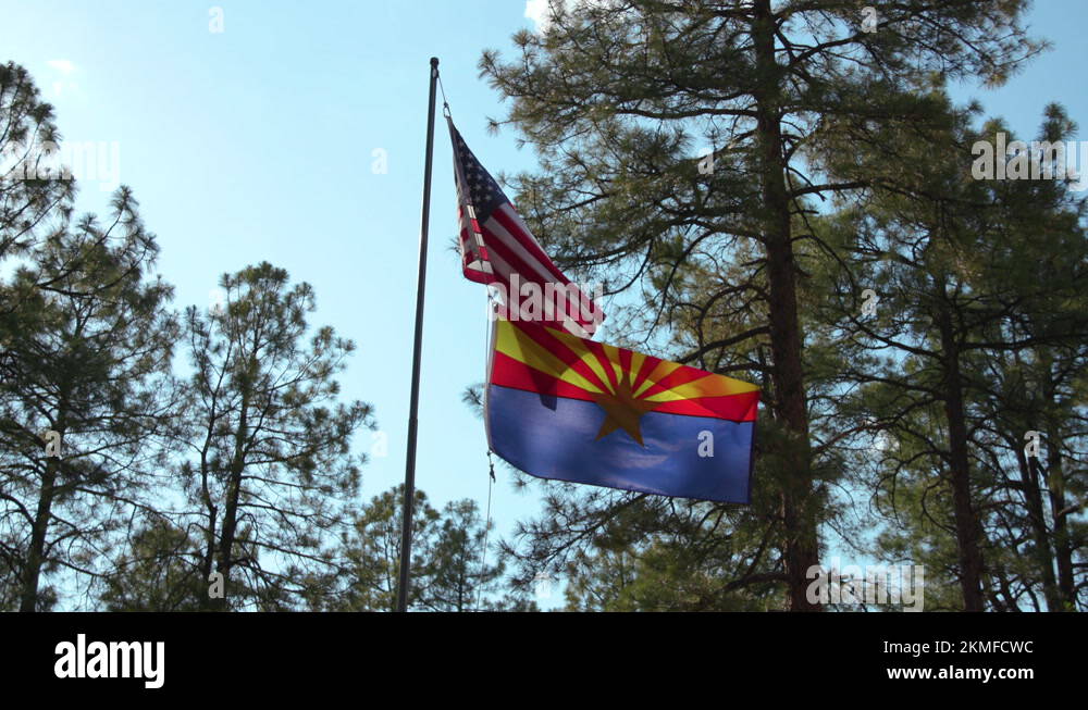 Forest of flags Stock Videos & Footage - HD and 4K Video Clips - Alamy