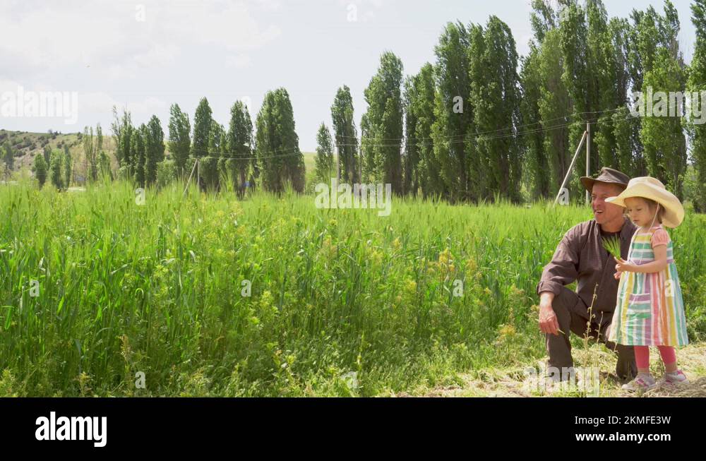 Happy farmer father with small daughter in his arms inspects a wheat ...