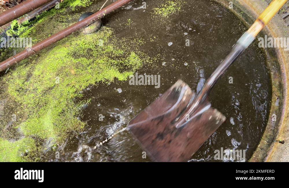 Gross water Stock Videos & Footage - HD and 4K Video Clips - Alamy