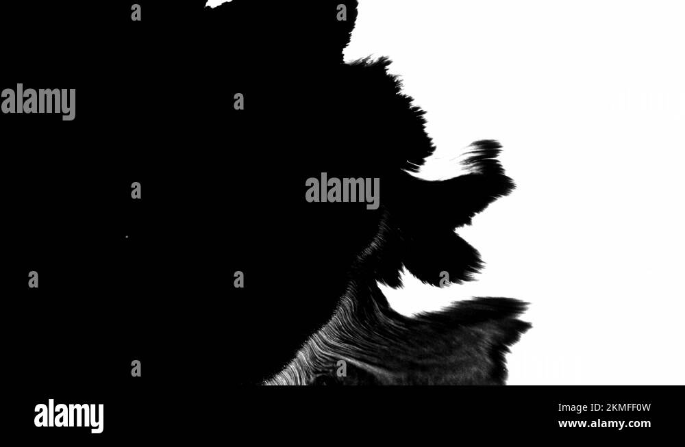Ink drop on white black Stock Videos & Footage - HD and 4K Video Clips ...