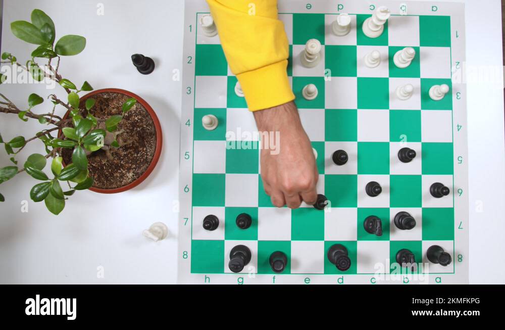 Man chess board Stock Videos & Footage - HD and 4K Video Clips - Alamy