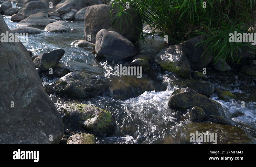 Riverside riverside riverside riverside flow Stock Videos & Footage ...