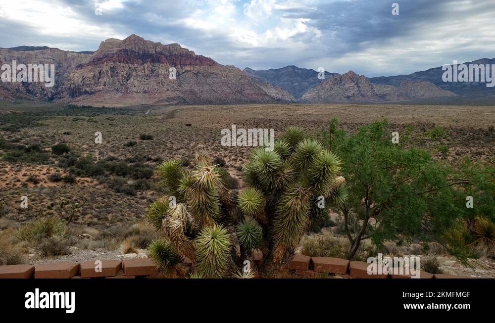 Yucca mountain nevada Stock Videos & Footage - HD and 4K Video Clips ...
