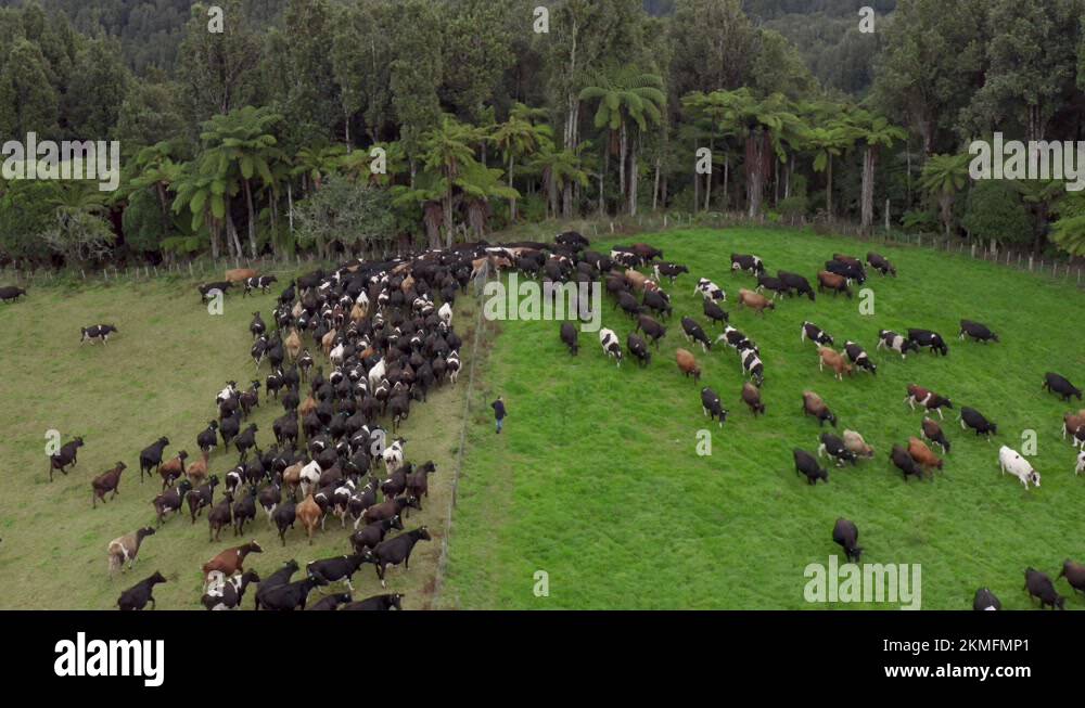 Running to gate Stock Videos & Footage - HD and 4K Video Clips - Alamy