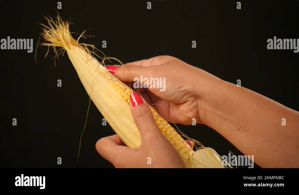 Indian corn husk Stock Videos & Footage - HD and 4K Video Clips - Alamy