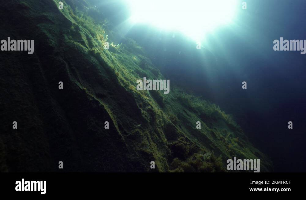 Underwater cliff Stock Videos & Footage - HD and 4K Video Clips - Alamy