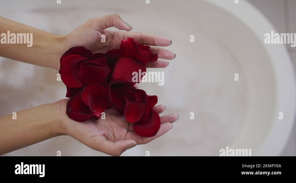 Rose section Stock Videos & Footage - HD and 4K Video Clips - Alamy