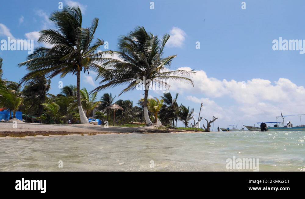 Caribbean unspoiled beach Stock Videos & Footage - HD and 4K Video ...