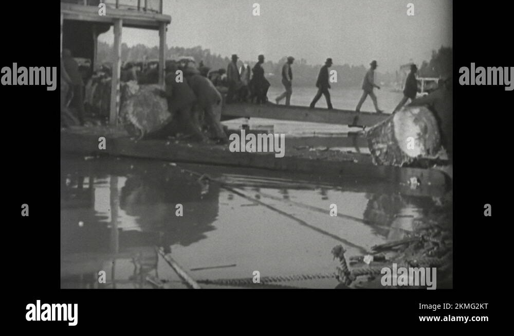 Do not throw objects from bridge Stock Videos & Footage - HD and 4K ...