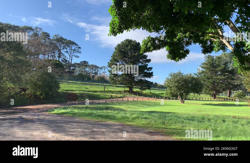 Shady steps Stock Videos & Footage - HD and 4K Video Clips - Alamy