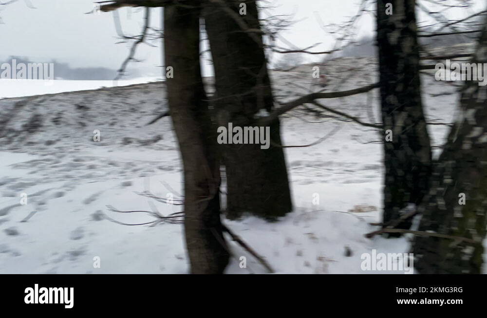 A man goes to the bigger car's winter crash in the trees, off the road ...